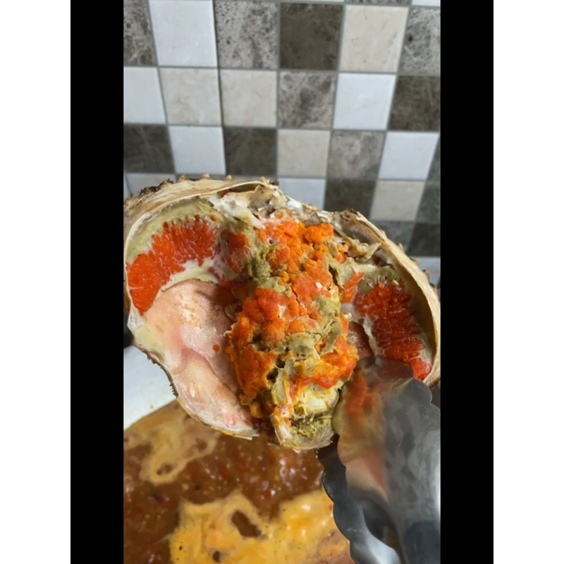 Jual Kepiting Super Jumbo (JANTAN/TELUR) | Shopee Indonesia