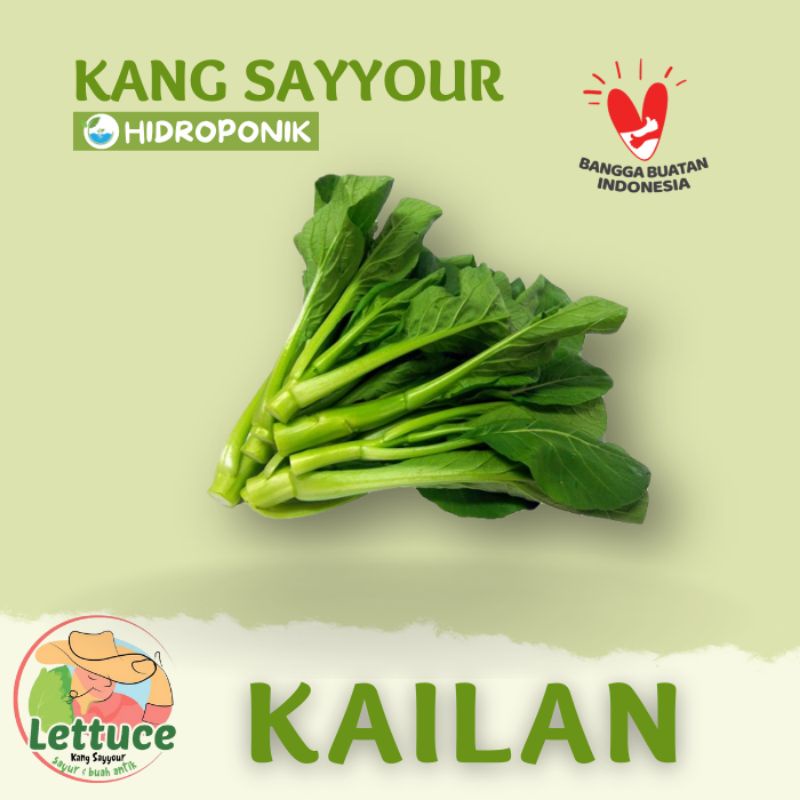 Jual Sayur Kailan Hidroponik SERBA CEBAN (200gr) | Shopee Indonesia