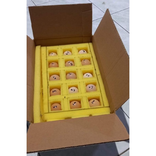 Jual PACKING SPONS FOAM - Wajib untuk setiap pengiriman telur | Shopee ...
