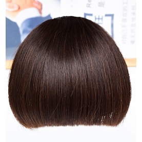 Jual PONI CLIP RAMBUT PALSU WANITA ON JEPIT TEBAL LURUS / + SIDE BANG ...