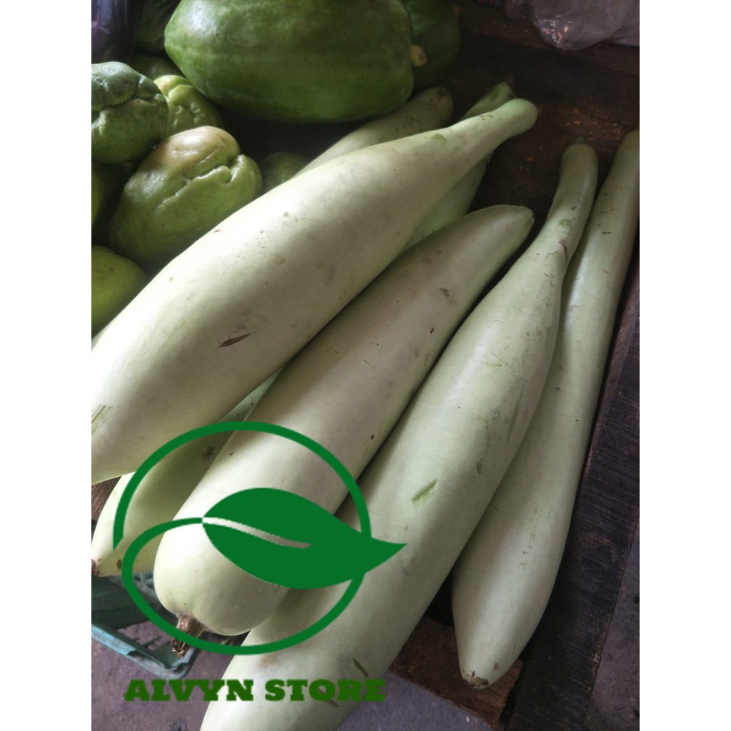 Jual LABU AIR | Shopee Indonesia