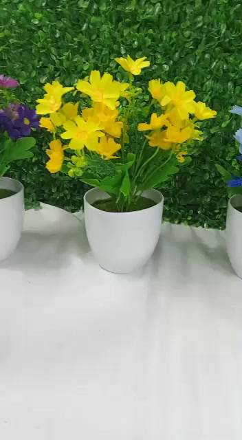 Jual UNICO Tanaman Hias Plastik Bunga Anggrek Krisan Pot Bunga ...