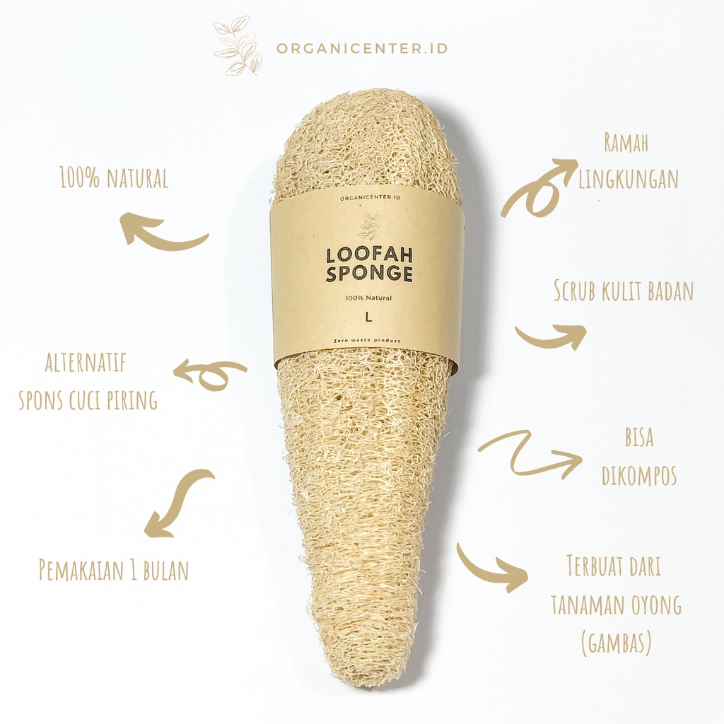 Jual Loofah Sponge L / Spons Gambas Natural Alami / Spons Sabut Cuci ...