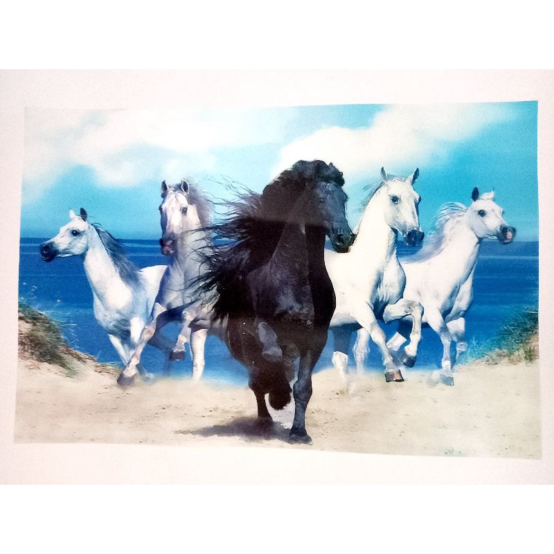 Jual POSTER KUDA 3 Dimensi ukuran P 58 x L 38 CM | Shopee Indonesia