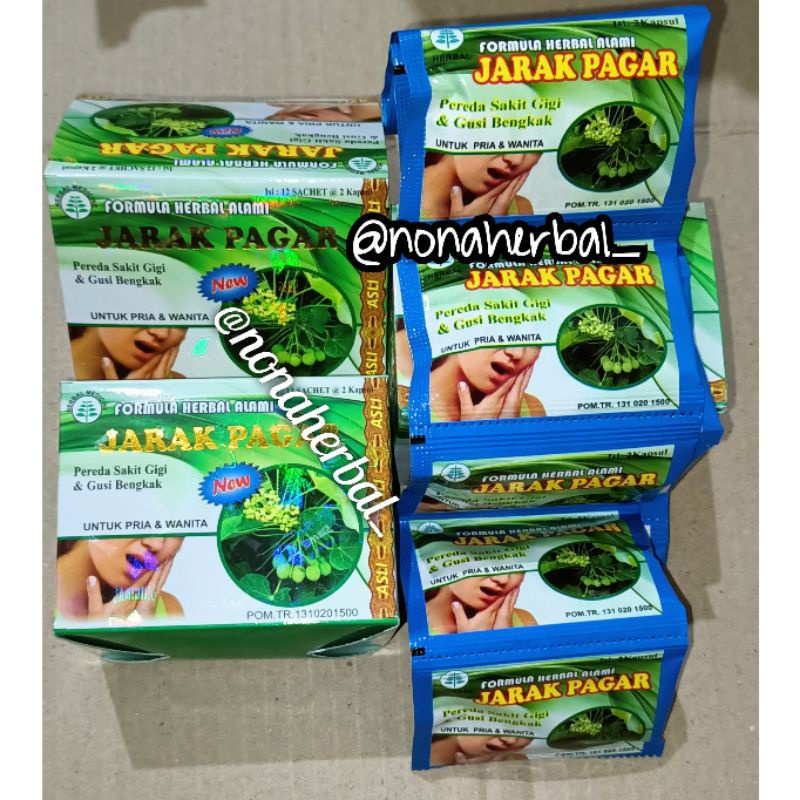 Jual Jarak Pagar Obat Sakit Gigi ORIGINAL | Shopee Indonesia