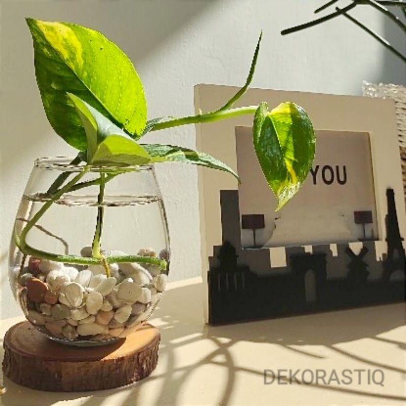Jual 1 SET VAS KACA AESTHETIC TUSKANI / POT BUNGA TANAMAN AIR ...