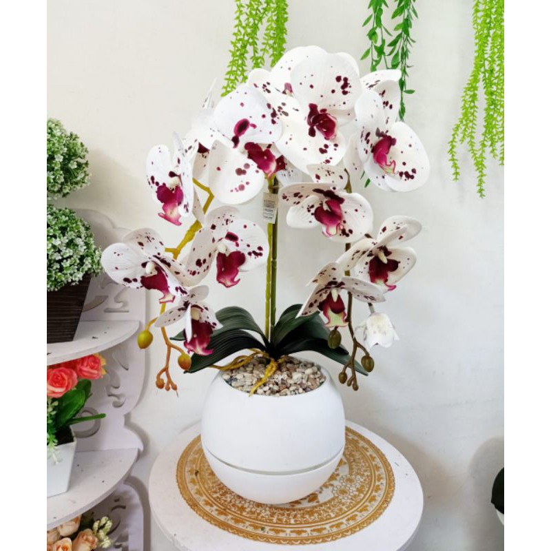 Jual Bunga Anggrek Latek premium tebal Cabang 2 Vas Bola anggrek ...