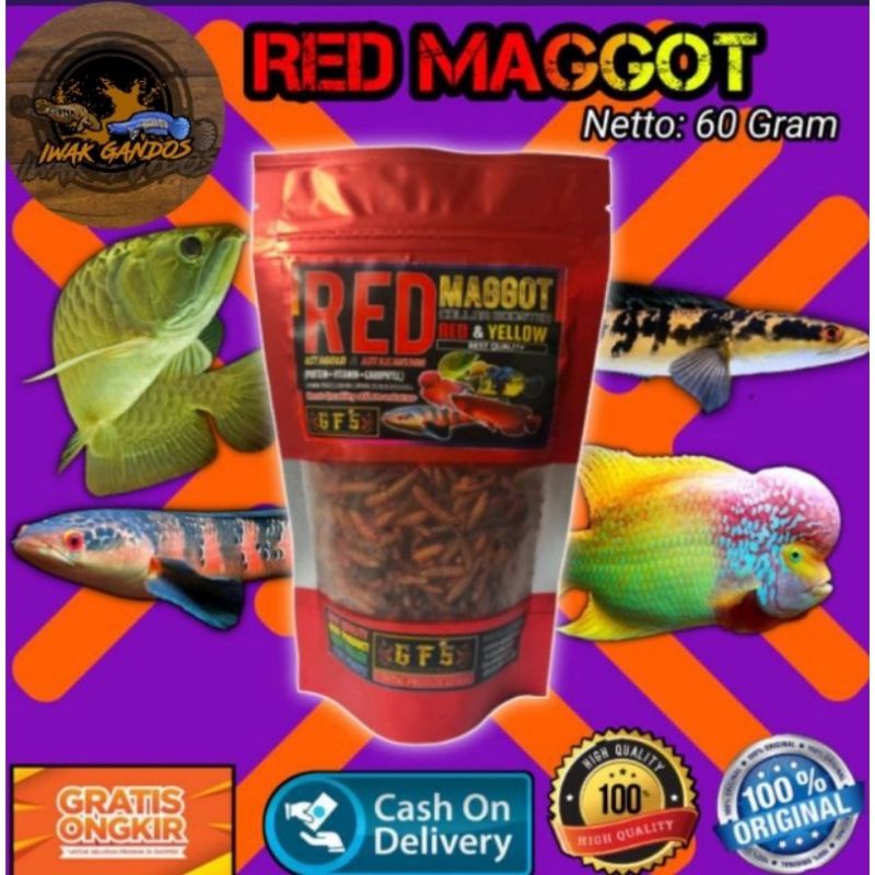 Jual MAGGOT YELLOW RED DUA FUNGSI 50 gr | Shopee Indonesia