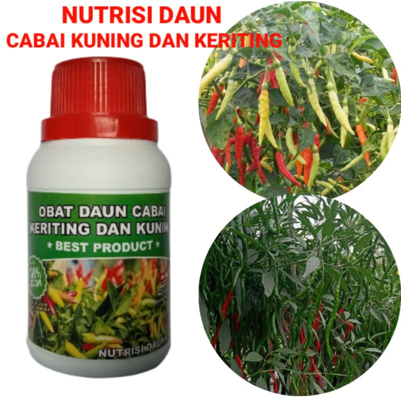 Jual Pupuk bulai cabai cair untuk mengatasi daun keriting dan kuning ...