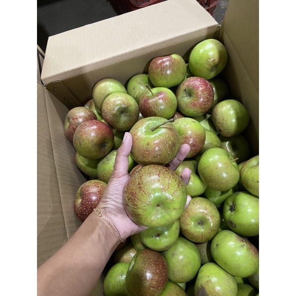Jual apel rome beuty grade A satu kilo isi 7-8 biji an (apel malang ...