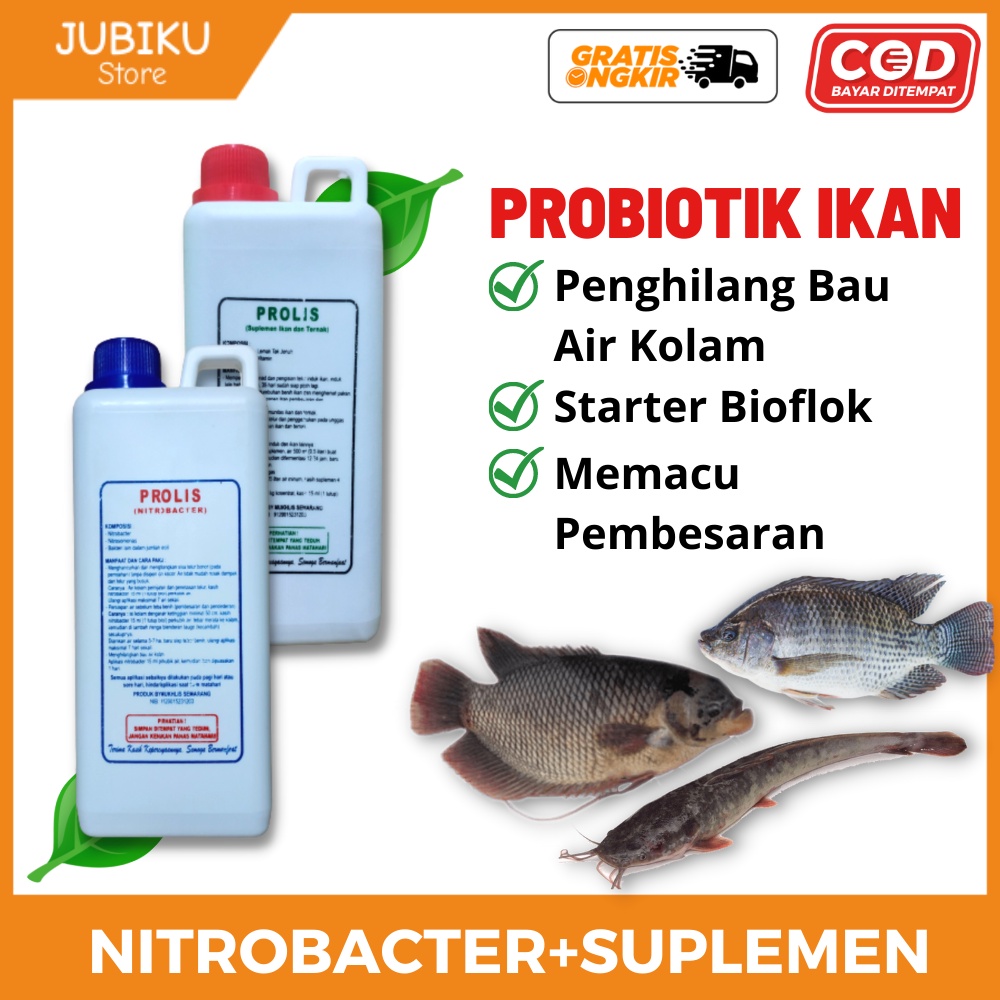 Jual Probiotik Ikan dan Ternak untuk Lele Mujaer Nila Gurame Udang ...