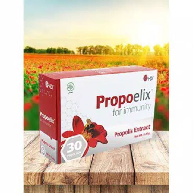 Jual Propoelix HDI 60 Kapsul Propelix 200mg | Shopee Indonesia