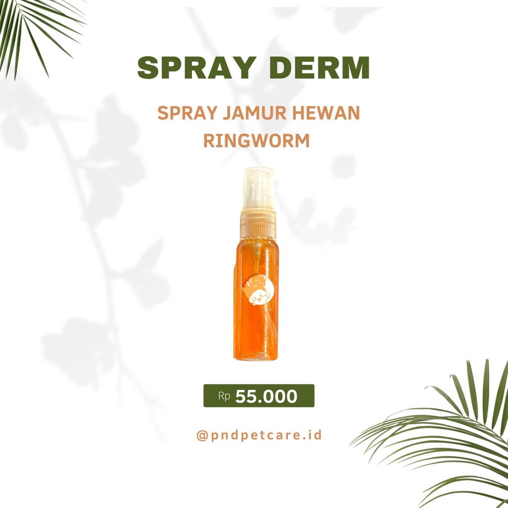 Jual SPRAY DERM / OBAT SEMPROT JAMUR HEWAN / RINGWORM | Shopee Indonesia