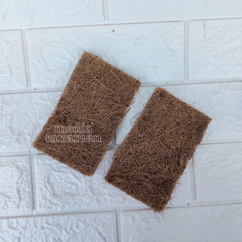 Jual sponge spons cuci piring dari sabut kelapa | Shopee Indonesia