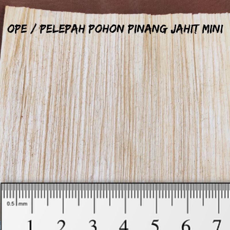 Jual OPE HARGA GROSIR / Pelepah Pohon Pinang Jahit Wadah Kue Pudak ...