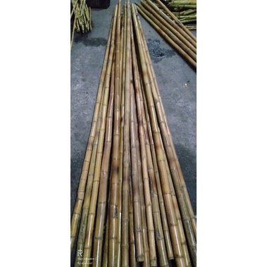 Jual BAMBU LURUS D3,5 SAMPSAI 4 CM OPEN MEGKILAT P.2 mtr | Shopee Indonesia