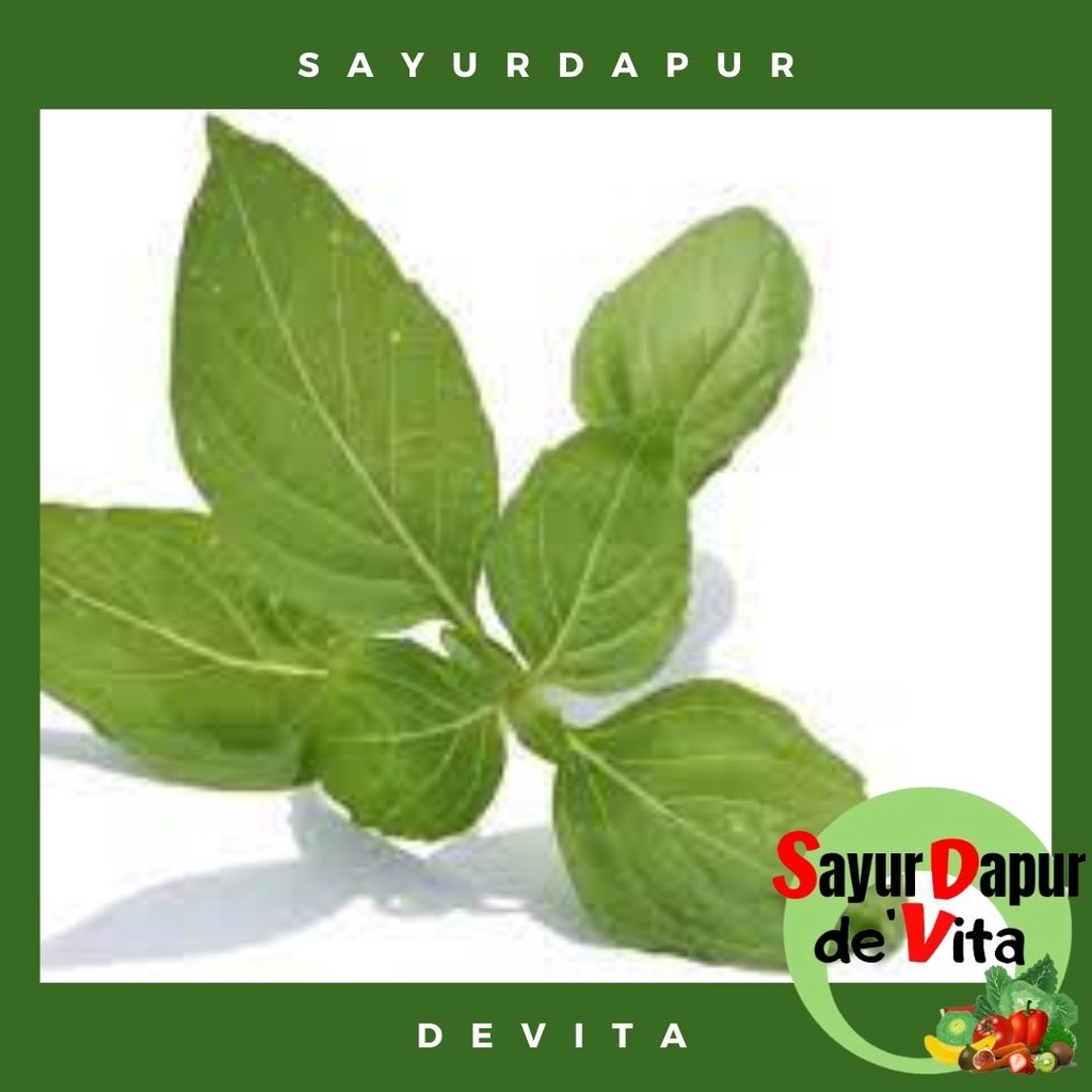 Jual Daun Kemangi Segar, sayuran lalap, perpack | Shopee Indonesia