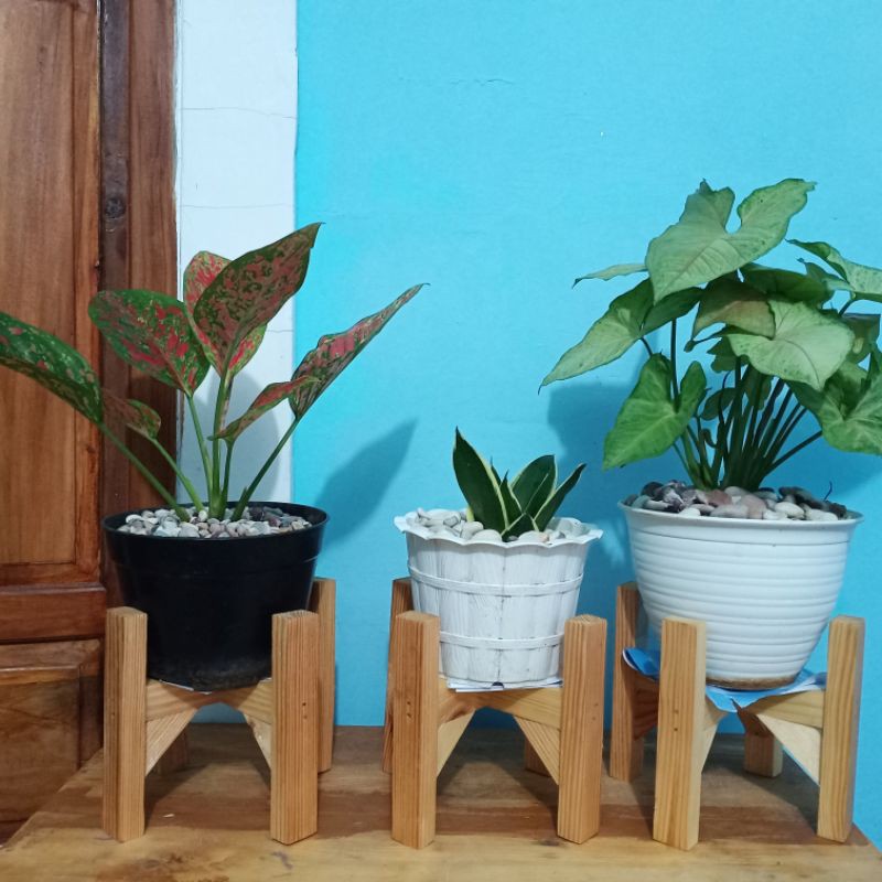 Jual standing pot kayu jati belanda/standing planter tinggi 15cm ...