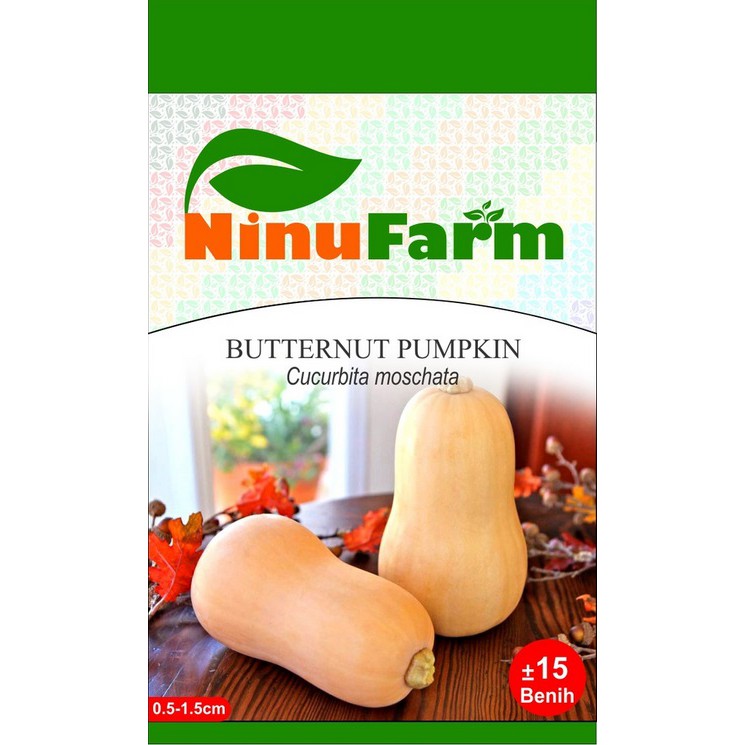 Jual Benih Bibit Buah Labu Madu/Butternut Pumpkin Ninufarm (15 Butir ...