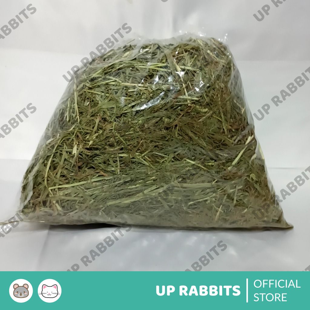 Jual makanan kelinci rumput hay special hay import dan lokal | Shopee ...