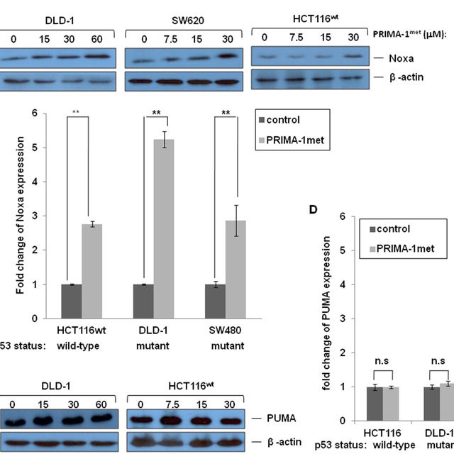 Jual Prima Effects Pro - Aplikasi Edit dan Pengubah Foto Menjadi Gambar ...