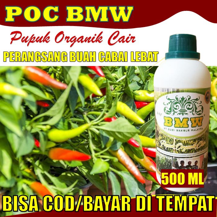 Jual Pupuk Organik Cabe Berbuah Lebat POC BMW Perangsang Buah Cabe ... Jual Pupuk Organik Cabe Berbuah Lebat POC BMW Perangsang Buah Cabe ...