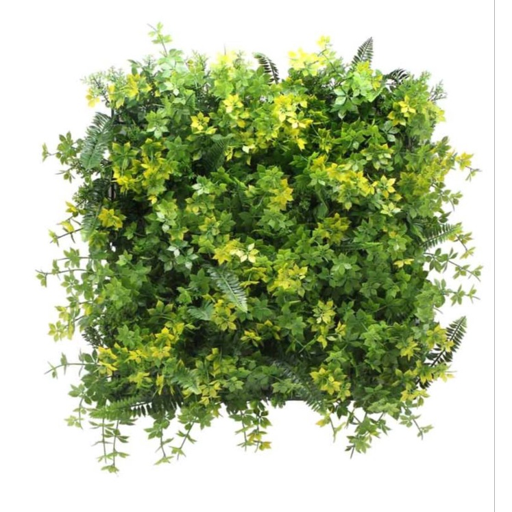 Jual CC GRAS Tanaman Dinding/Hiasan Rumput Buatan 50x50 CM Early Spring ...