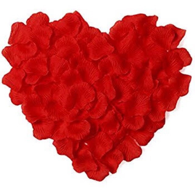 Jual Kelopak Bunga, Kelopak Mawar, Rose Petals Purple (Size M) | Shopee ...