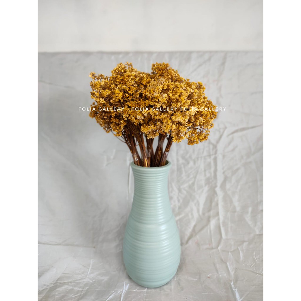 Jual FG- 1 Ikat Bunga Beluntas Kering Natural Hiasan Buket Bunga Kering ...