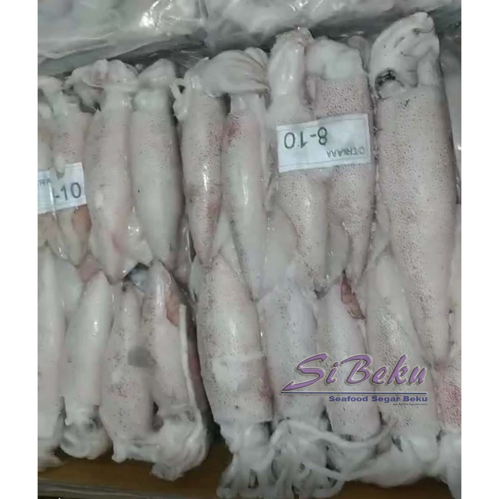 Jual CUMI SEGAR FROZEN BLOCK 8cm/10cm @1KG | Shopee Indonesia