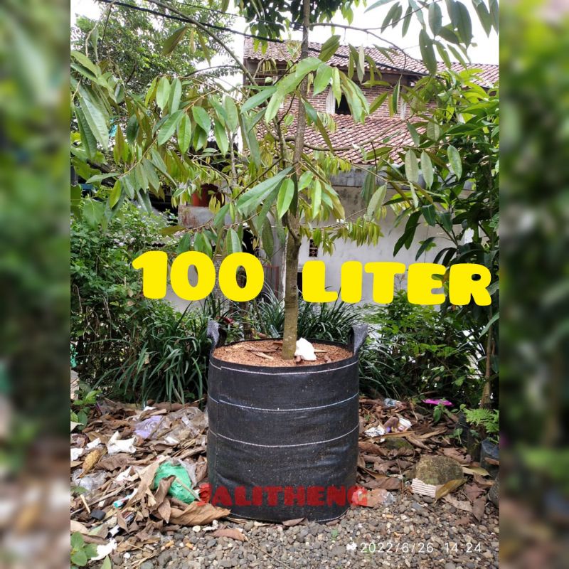 Jual Pot/Planterbag 100 liter | Shopee Indonesia