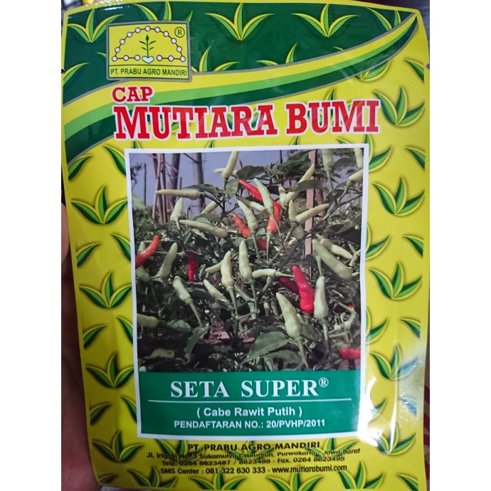 Jual Benih Cabe Rawit Mutiara Bumi Seta Super 10 gr | Shopee Indonesia