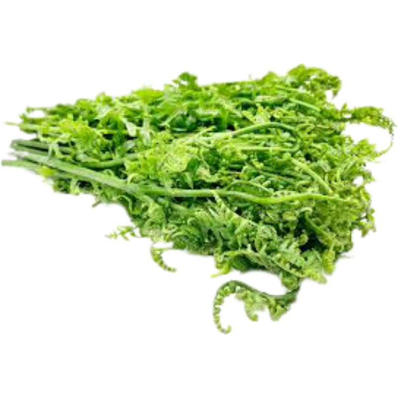 Jual Sayur pakis 1kg baru petik daun pakis muda paku pakuan Tbg ...