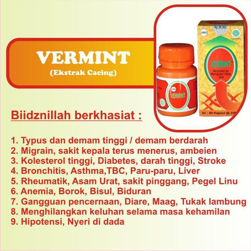 Jual VERMINT KAPSUL BESAR KECIL OBAT DEMAM / TIPES / THYPUS | Shopee ...
