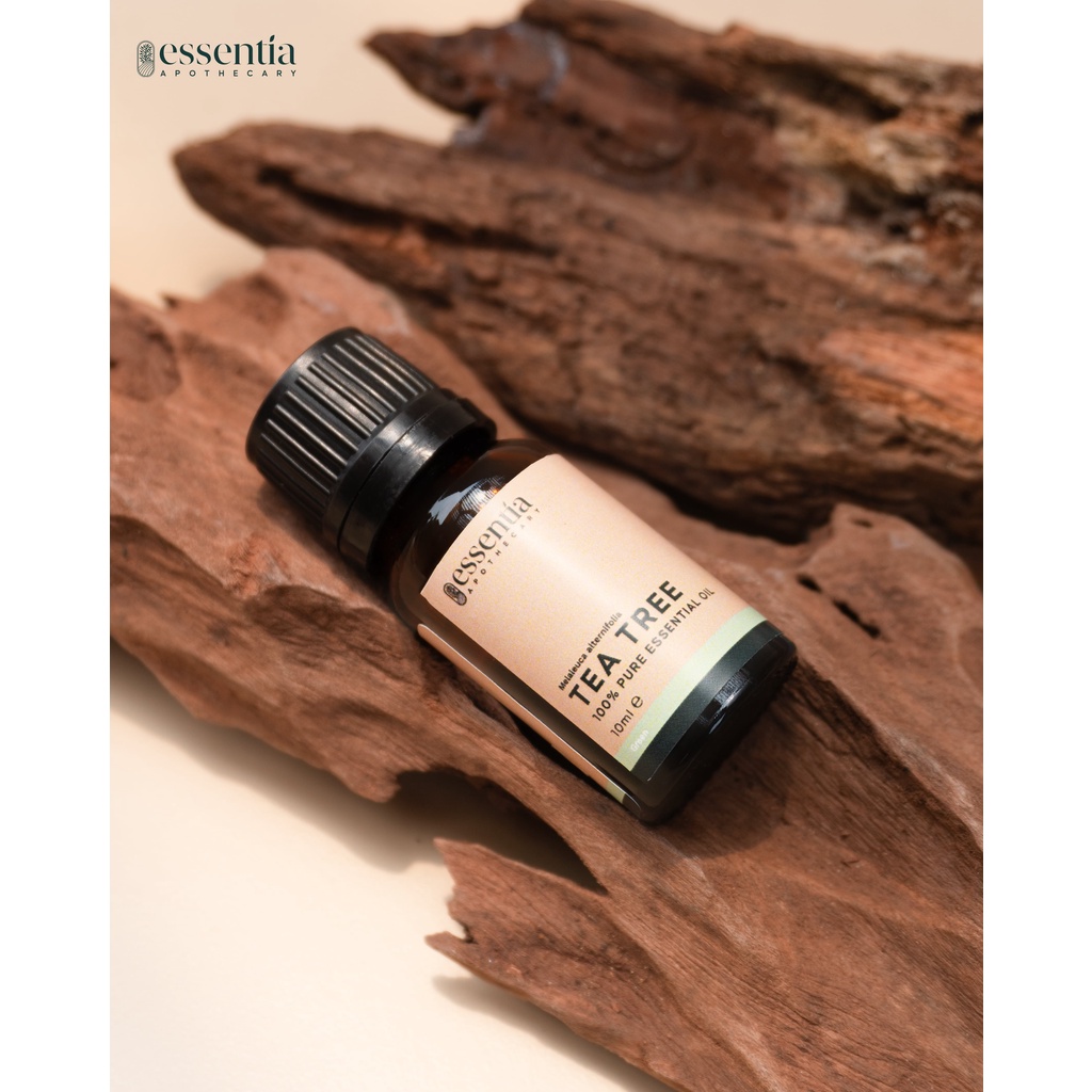 Jual Essentia Apothecary Must Have Kit | Shopee Indonesia