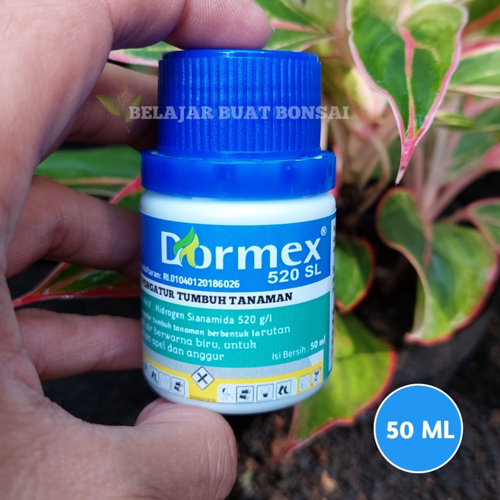 Jual Dormex 520SL Hidrogen Sianamida ZPT Apel Anggur Germany | Shopee Indonesia