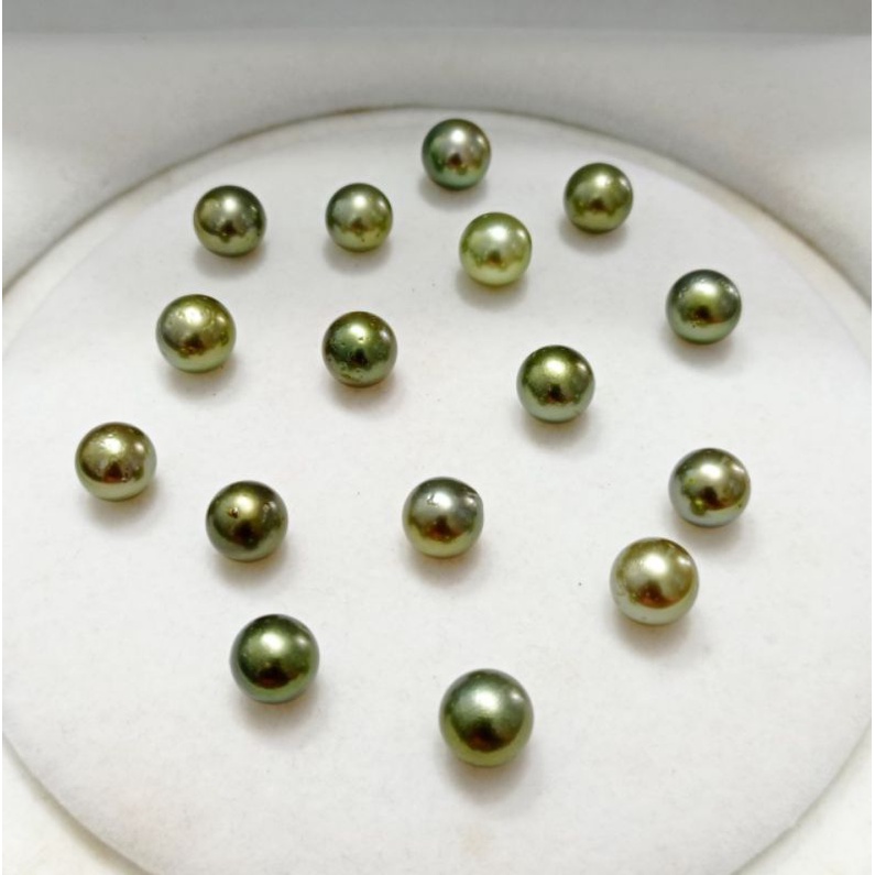 Jual stok terbatas mutiara laut yang langka warna hijau | Shopee Indonesia