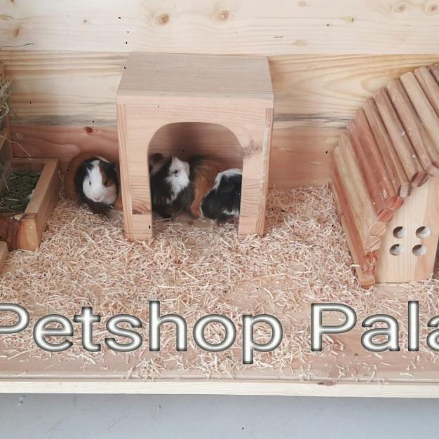 Jual Kandang Marmut/Hamster ( P 100cm x L 40cm x T 40cm ) | Shopee ...