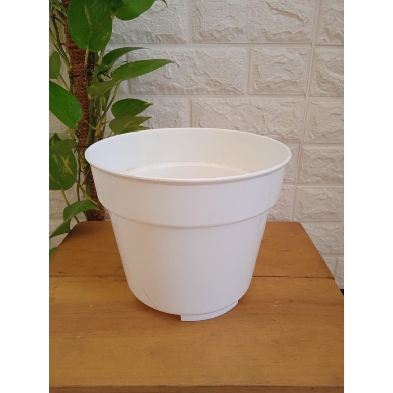 Jual Pot Putih Polos 17 GBL | Shopee Indonesia