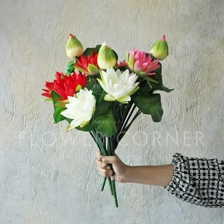 Jual Bunga Lotus Terlengkap & Harga Terbaru Mei 2024 | Shopee Indonesia