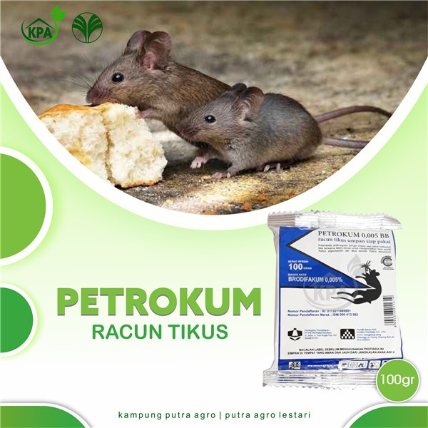 Jual Petrokum Racun Tikus Ampuh Mati Kering PERTOKUM Obat Umpan Anti ...