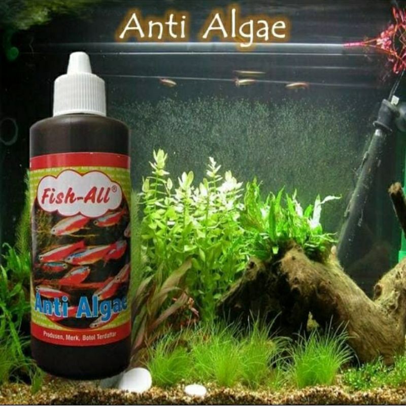 Jual FISH ALL ANTI ALGAE PEMBASMI ALGAE KOLAM IKAN AQUARIUM AQUASCAPE ...