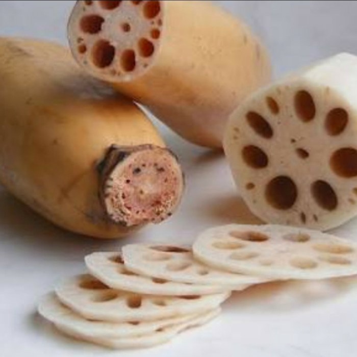 Jual LOTUS ROOT / AKAR TERATAI | Shopee Indonesia