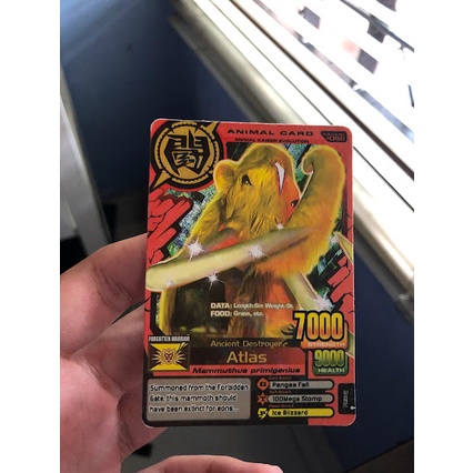 Jual Animal Kaiser Atlas | Shopee Indonesia