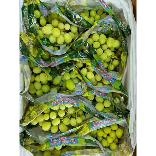 Jual anggur ijo non biji 10 kg 1 dus | Shopee Indonesia