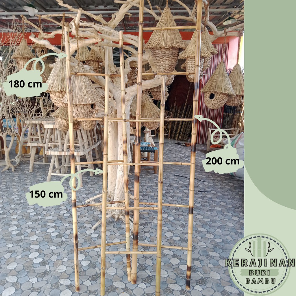 Jual TANGGA BAMBU CENDANI 200cm/ CENDANI BAMBOO LADDER / TANGGA ...