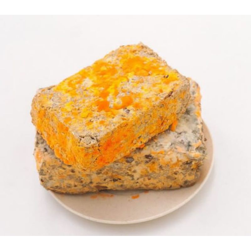 Jual ONCOM PER PAPAN | Shopee Indonesia