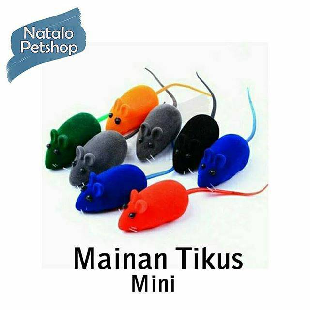 Jual Mainan tikus mini karet untuk Kucing | Shopee Indonesia