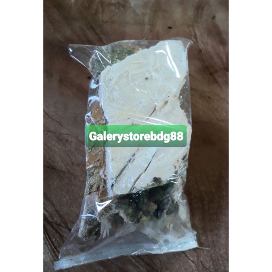 Jual Kulit pohon pule pohon lame pohon pulay segar 1 kg fresh | Shopee ...