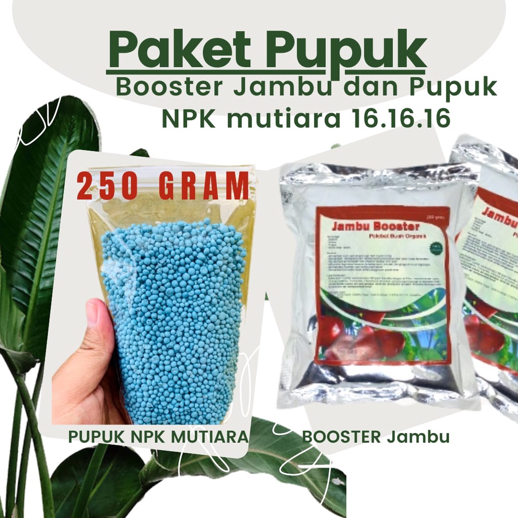 Jual PAKET LENGKAP Pupuk Booster Pelebat Buah Pohon JAMBU Plus Pupuk NPK Mutiara 16.16.16 250 ...